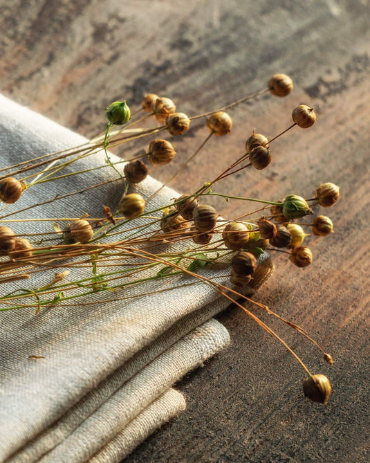 Mood & Pattern: Designer Cushions and Covers